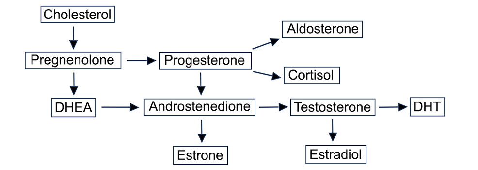 Dr. Mercola® Liposomal Pregnenolone + DHEA Supplement | Hormone Support